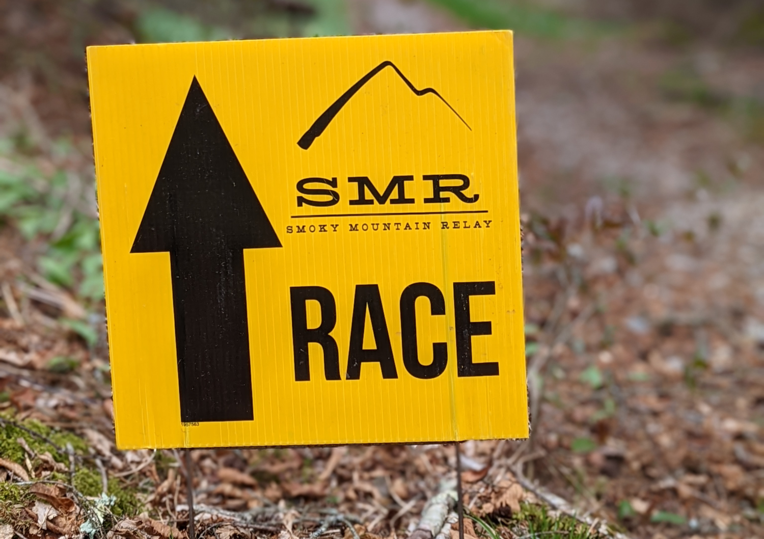 Overview of the SMOKY MOUNTAIN RELAY